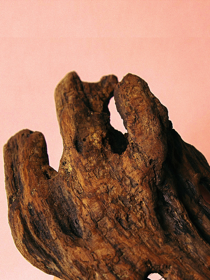 ODE Ruby Wood / Natural Aperitif made in Berlin – ODE / The Natural Aperitif